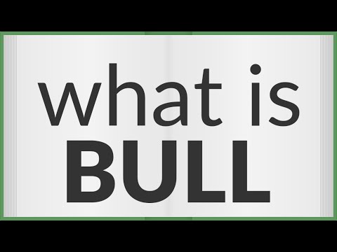 Bull | meaning of Bull