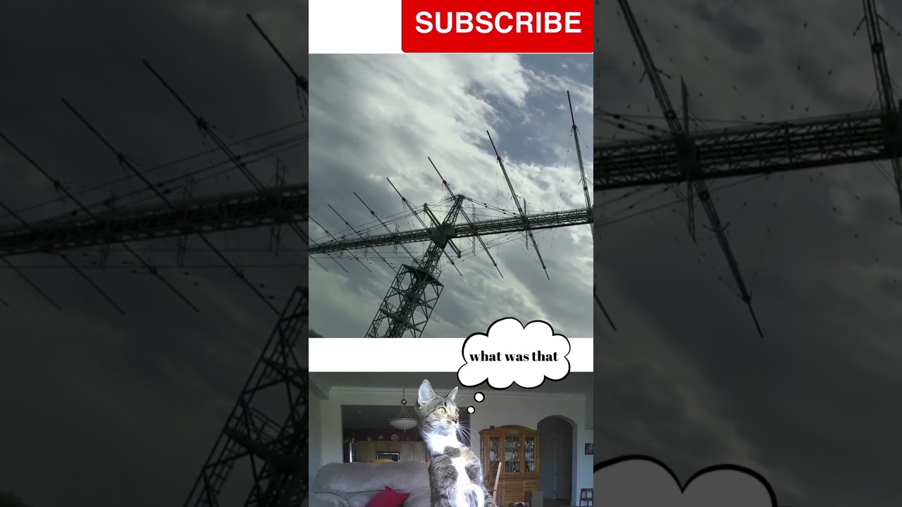 what was that OMG Antenna  #shorts