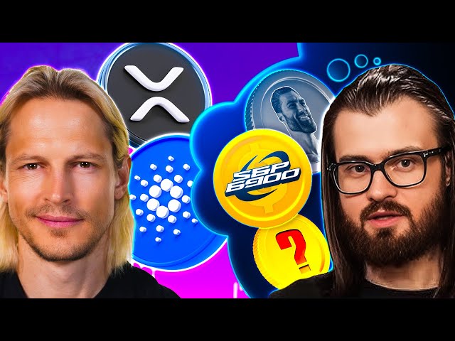 Murad on the Meme Supercycle: Insights, Predictions, and the Future of ...