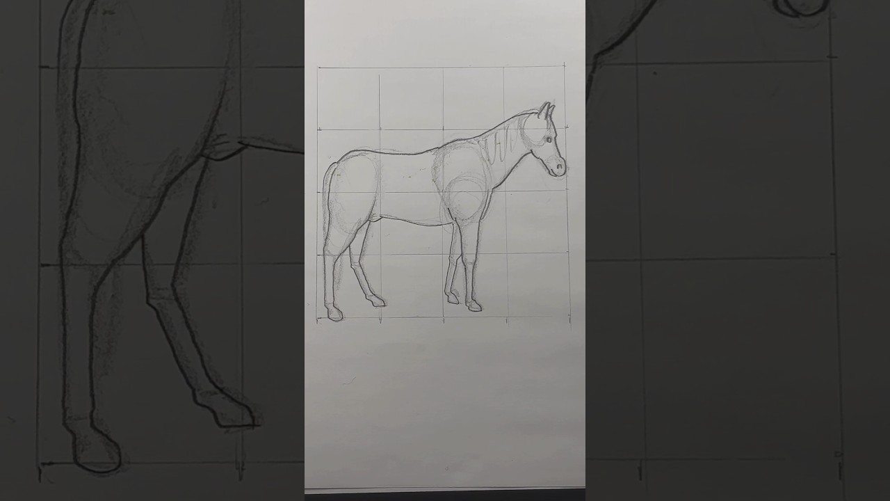 Draw a horse 🐎 Easy step-by-step lesson for how to draw correct horse proportions. #drawinglesson