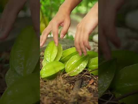 Star Fruit #satisfying #short