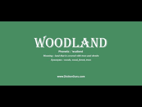 woodland: How to pronounce woodland with Phonetic and Examples
