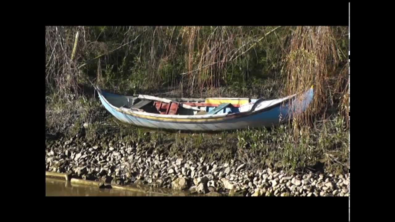 Mês Enguia 2014 - Salvaterra de Magos