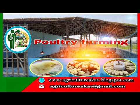 POULTRY FARMING