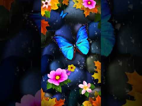 Fall rain butterfly flowers maple space Animated