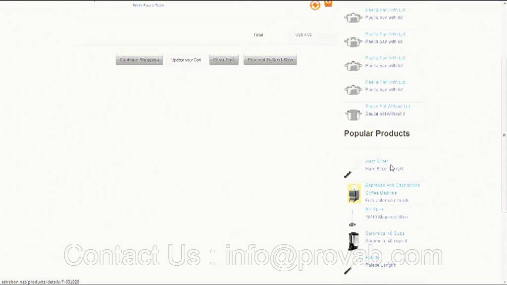 eCommerce Website Design Development Company India