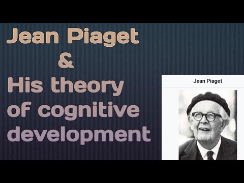 Jean Piaget theory of cognitive development #jean #piaget #piagettheory #jeanpiaget #pedagogy #viral