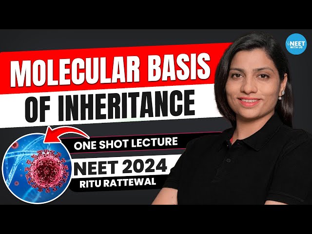 Understanding the Molecular Basis of Inheritance: A Comprehensive Guide | Galaxy.ai | Galaxy.ai