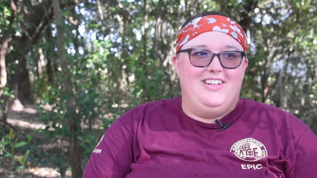 Meet Attwater's Interns