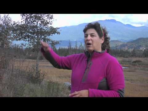 Edith Tobe featured in Suzuki Foundation Video! – BCWF Bog Blog