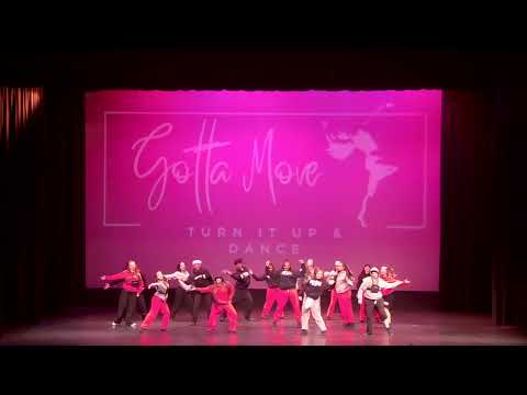 The Vibe Dance Studio - Mega Crew: HANDS UP!