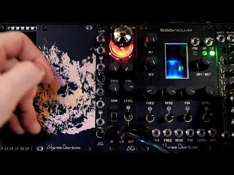 Abyss Devices Saevitus V2 Vacuum Tube VCA Distortion and | Reverb