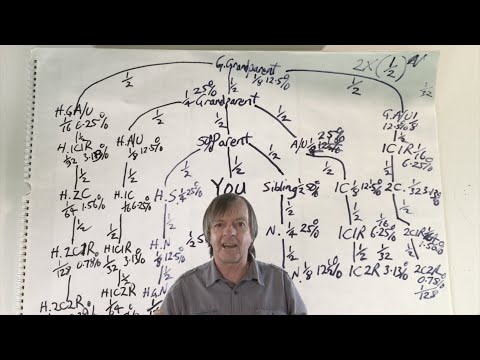 Shared DNA and Relationship Terminology
