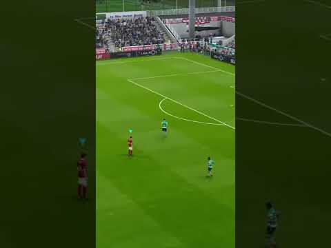 Benfica vs Sporting live/Portuguese League