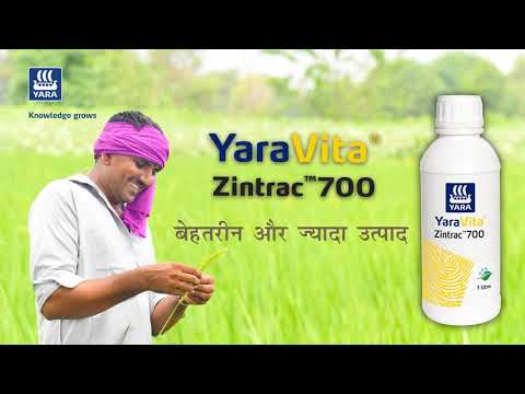 Zinc Fertilizers at Best Price in India