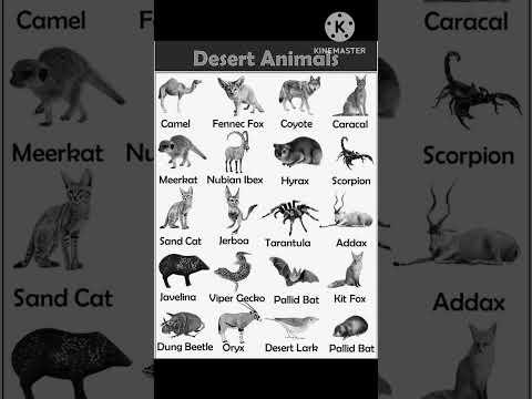 Desert Animals/Desert Animals Name With Pictures/Desert Animals Name In English