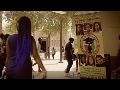 Words Matter - Dr. Sonja Lanehart