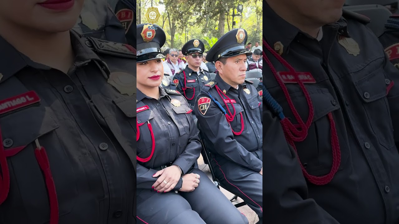 14 de noviembre de 2025