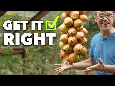 How To Harvest & Store Onions