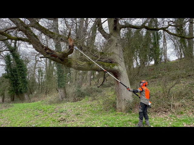 Stihl tree pruner - Telescopic Tree Pruner Trader - Wholesaler ...