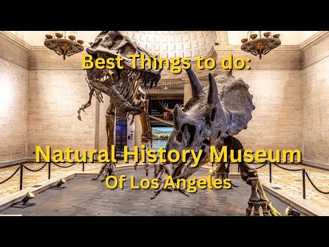 Best Things to Do: Natural History Museum of Los Angeles
