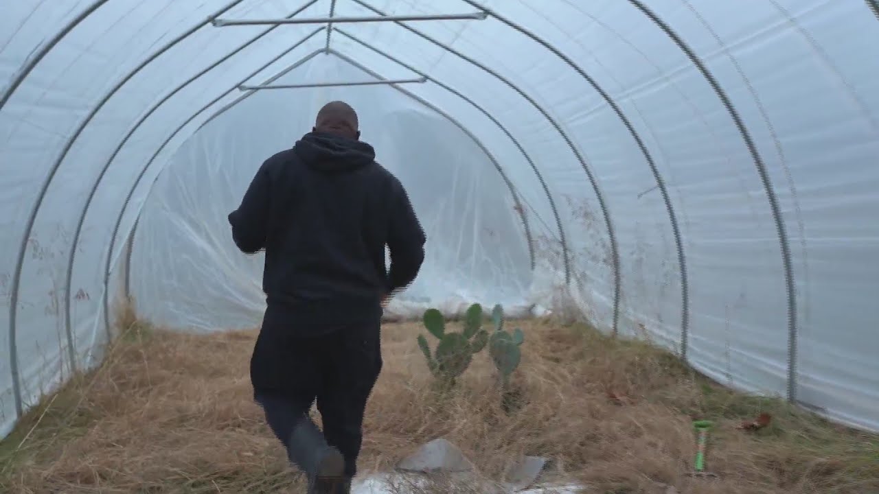 UMSL Diversity, Equity & Inclusion Accelerator opens applications