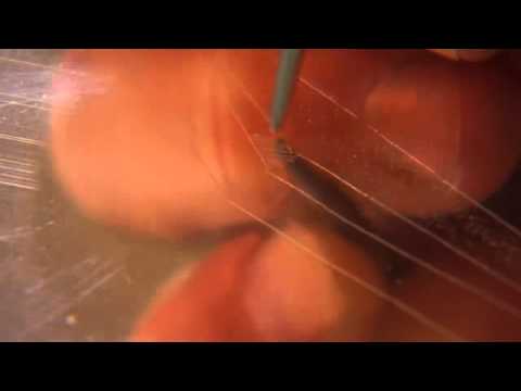01 Printmaking 04 Introduction to intaglio