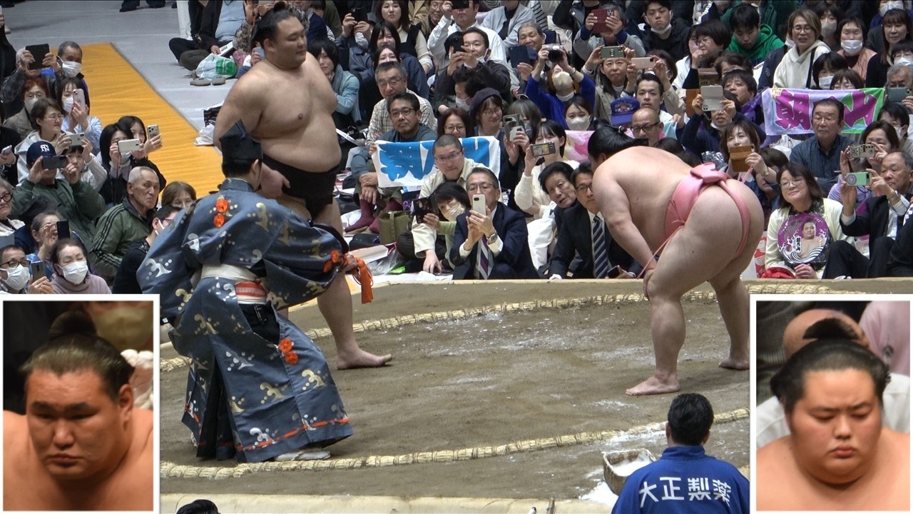 Hoshoryu & Kotozakura score big (Sumo News: Tour reports + footage,  Apr 6th)