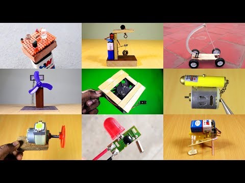 10Th Grade Science Fair Projects Biology – olusili4su