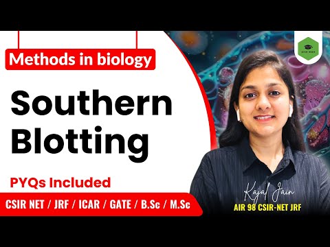 Southern Blotting- Methods In Biology CSIR UGC NET Lifesciences I ...