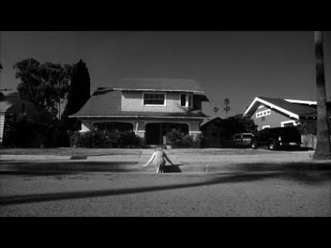 American History X: The lament of a mother.(Part 26)