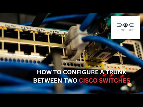 Configuring an 802.1q Trunk between two Cisco Switches | Unreal Labs