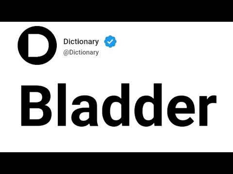 Bladder Meaning In English