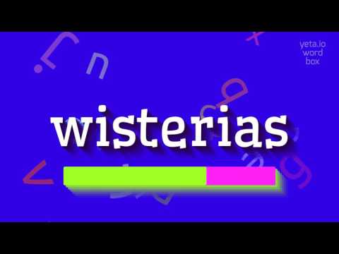 How to say "wisterias"! (High Quality Voices)