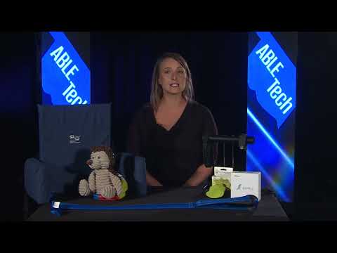Seating, Positioning, Mobility, and Vehicle Modification Assistive Technology (AT)