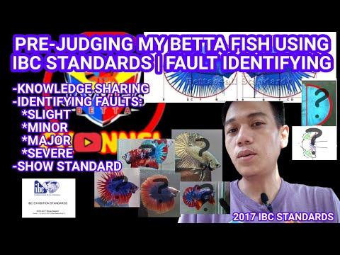 BETTA FISH STANDARD FAULTS | USING IBC 2016-2017 STANDARD