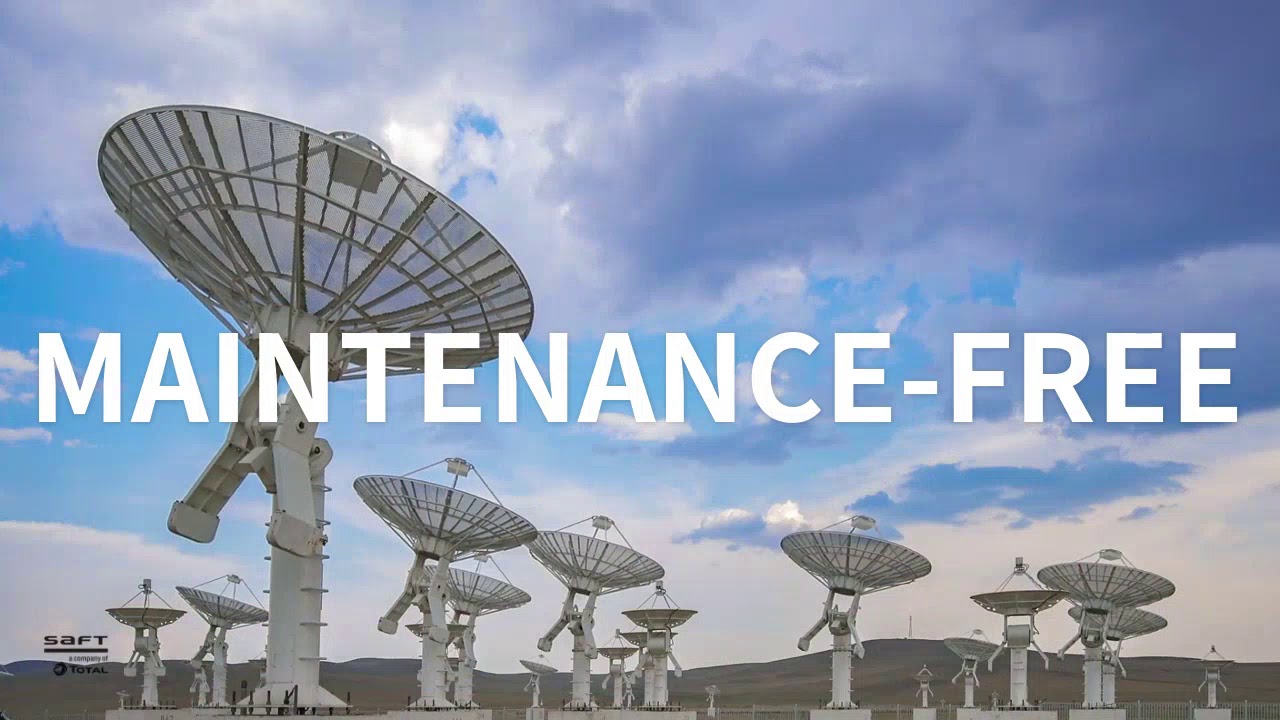 Xcelion Family of Batteries