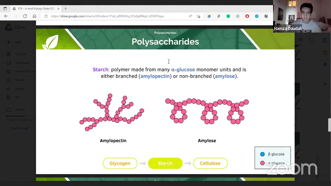Biology Revision Classes - Friday 7th October 2022 - Biological Molecules