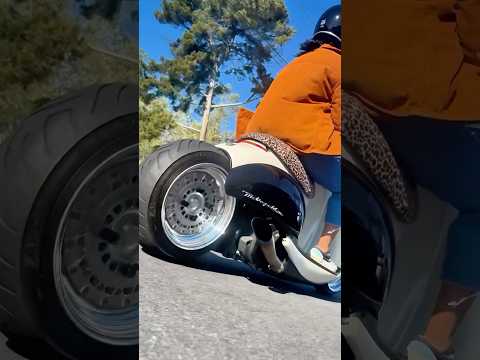 CUTE NOT MUTE! Honda Ruckus By sicnarf.garage