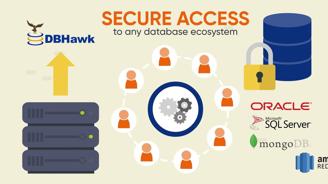 DBHawk: The Only Database Security Solution You'll Ever Need |  DBHawk Secure Database Access