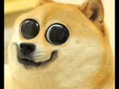 Steam Community :: Video :: Doge Boi Faic