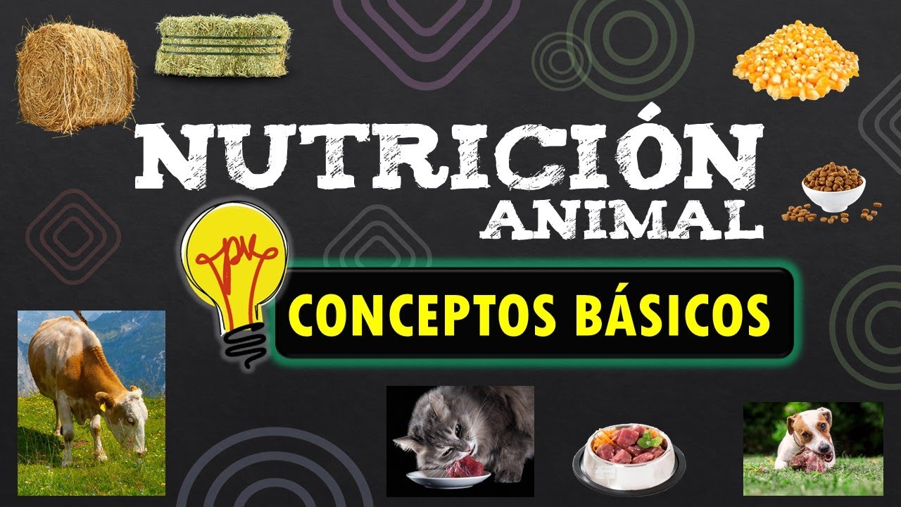 FOOD, NUTRIENTS, DIET, RATION 🌾 ANIMAL NUTRITION 📌 BASIC CONCEPTS
