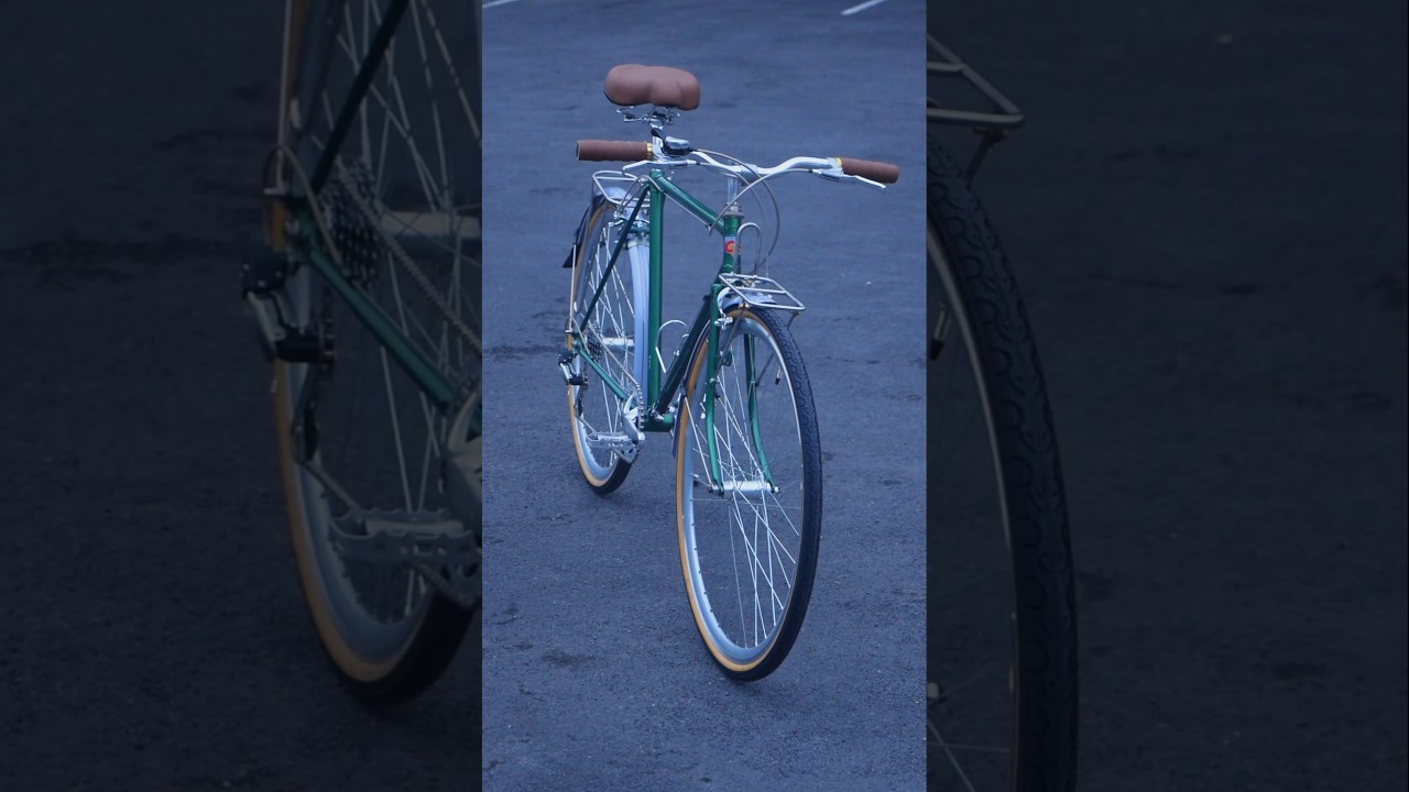Old School Stylish Commuter Bike
