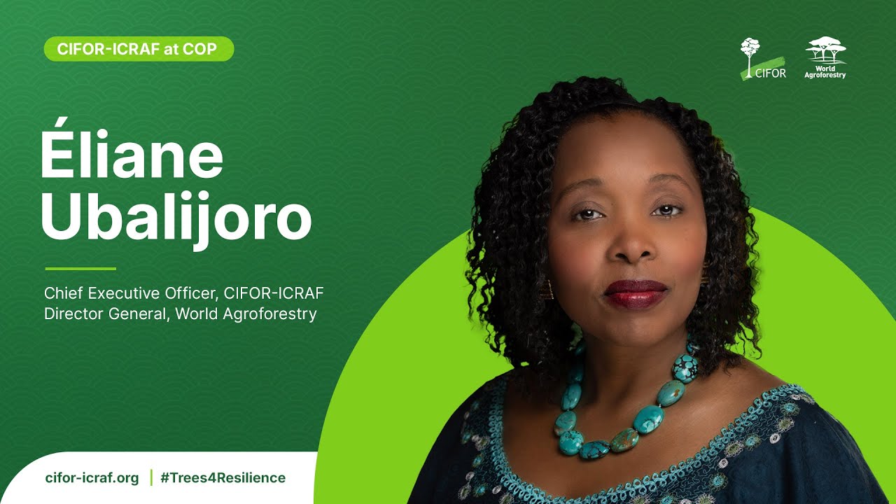 Trees: Nature’s champions of resilience and regeneration - #Trees4Resilience