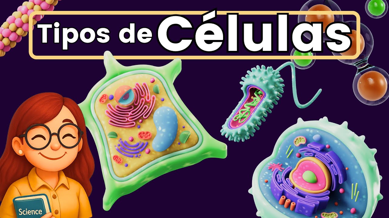 Cell Types 🔬