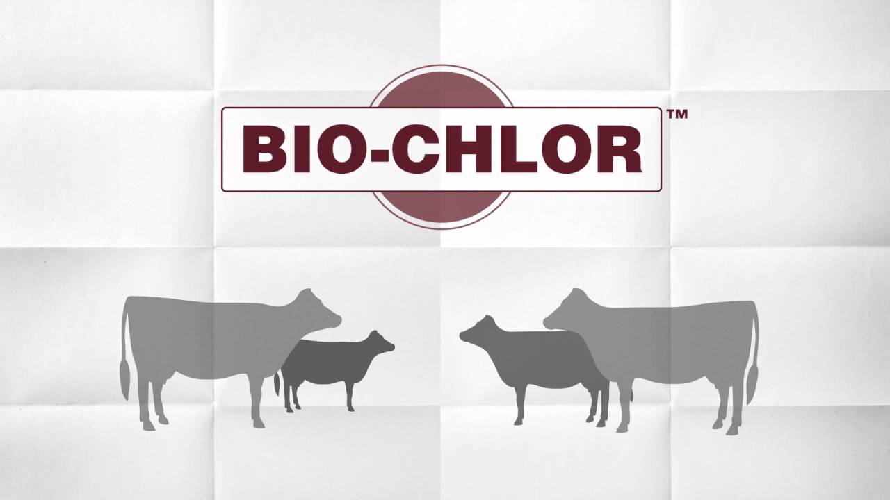 Negative DCAD Balancing with BIO-CHLOR