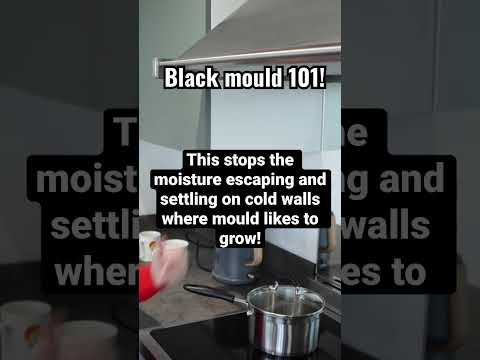 Black mould 101 #homehacks #blackmould #mould