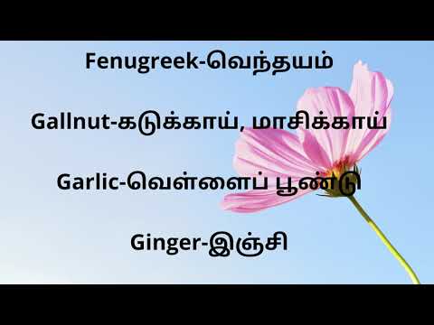 General Words -Kitchen Provisions-Learn English through Tamil