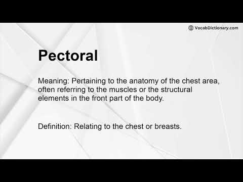 Pectoral Meaning
