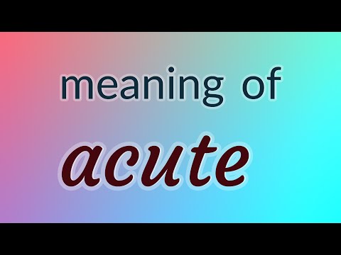 Acute - 78 English Vocabulary Flashcards